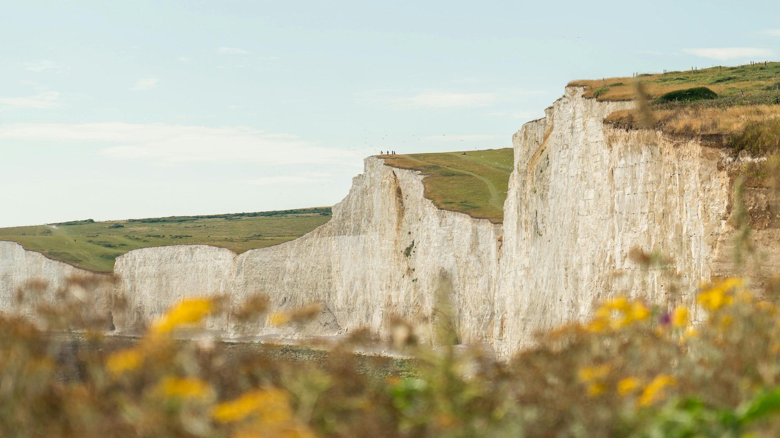 Commercial Waste & Recycling in Eastbourne - Recorra